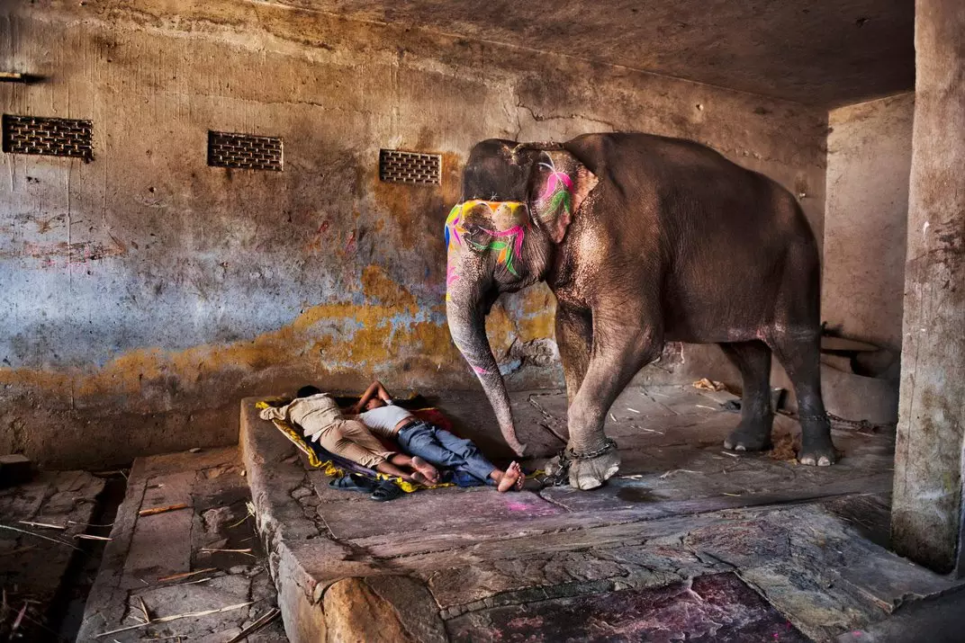 Steve McCurry ၏ အိန္ဒိယရှိ ဓါတ်ပုံစာအုပ်အသစ်သည် တီထွင်ဖန်တီးမှုတွင် ဆယ်စုနှစ်များစွာကြာခဲ့ပြီဖြစ်သည်။ 50537_8