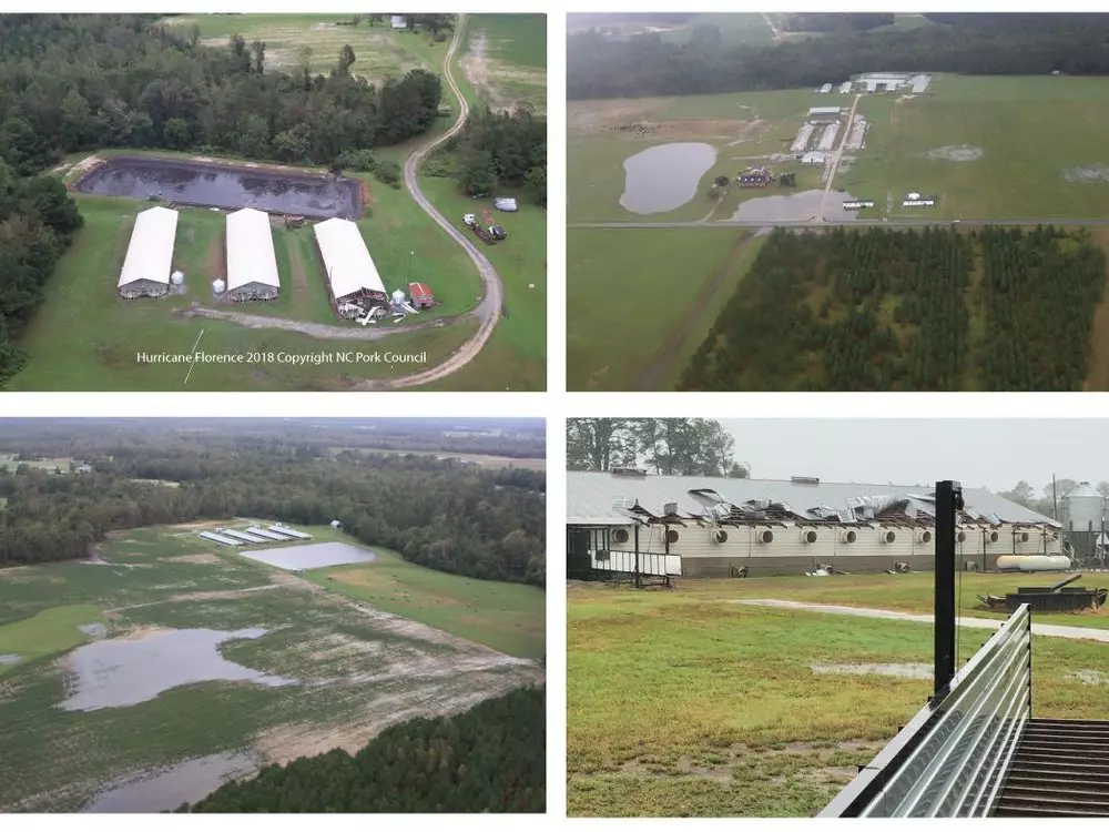 Florence Fall-Out hotar att släppa ut avfall som lagras i dussintals North Carolina Hog Lagoons