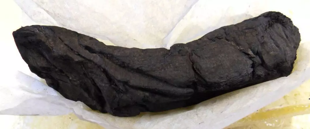 Vesuuvi poolt mustaks tehtud iidsed kirjarullid on lõpuks loetavad