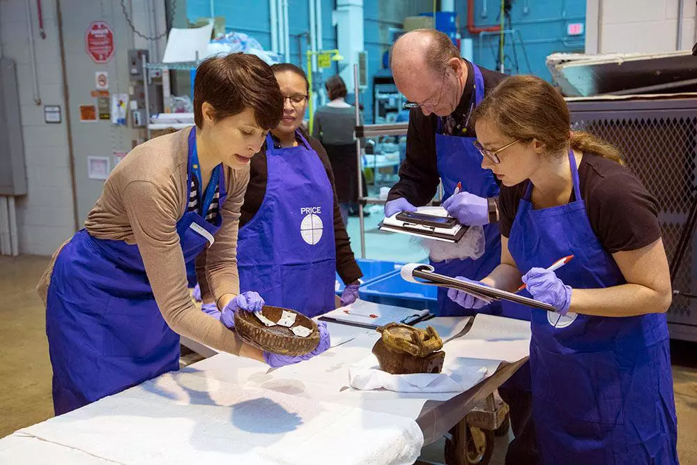 Cómo se prepara el Smithsonian para huracanes e inundaciones