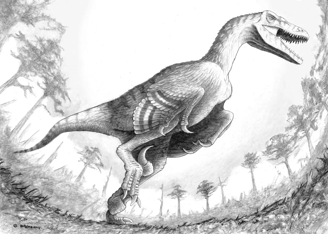Dinozauri i ri me krahë mund të ketë përdorur pendët e tij për të kapur prenë