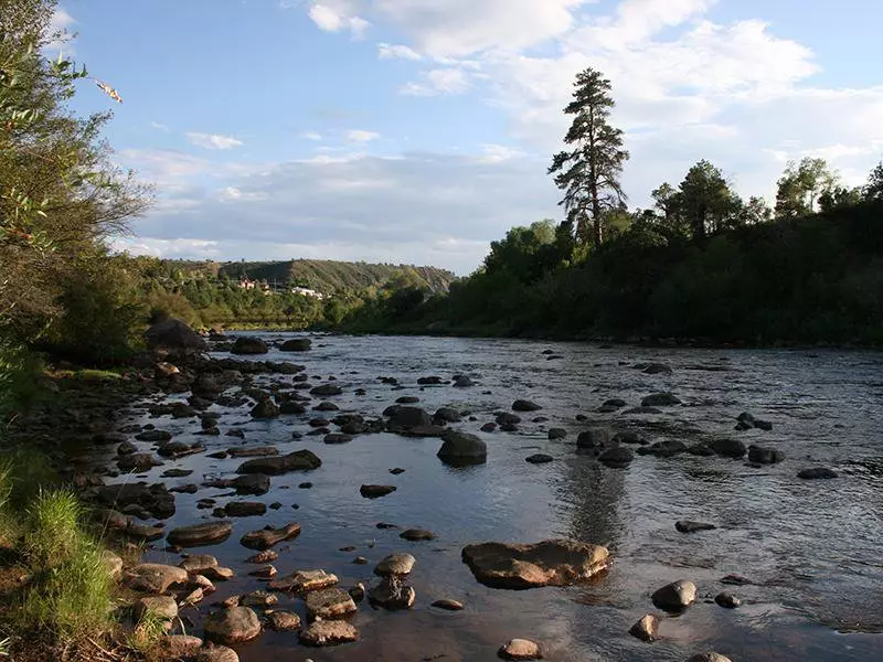 Hvað er næst fyrir Animas River?