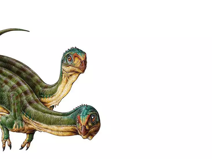 Çilesaurusla tanış olun, yeni Raptor kimi dinozavr və vegetarian pəhrizi ilə