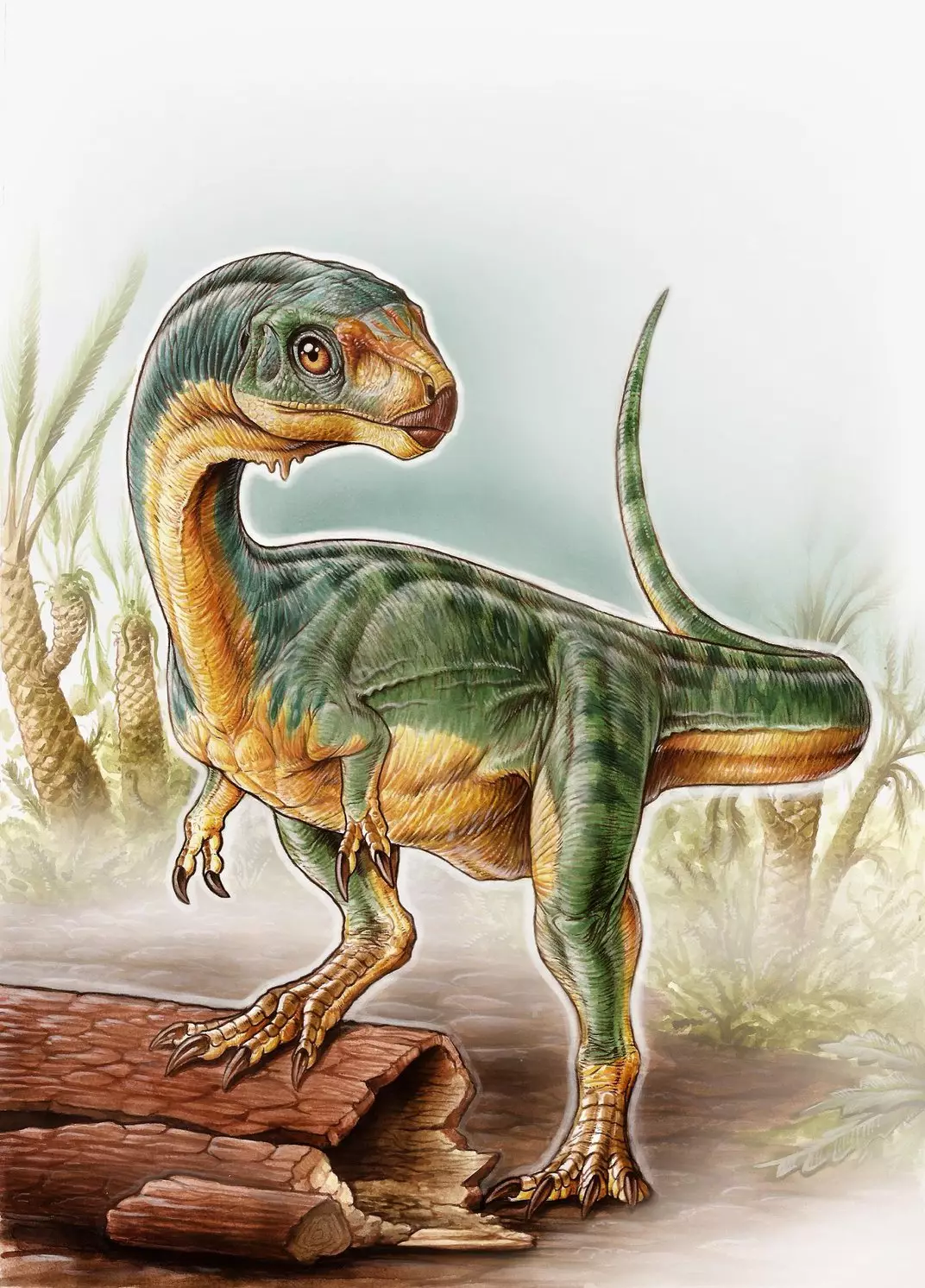 Minuhan Chilesaurus, Dinosaurus Sarupa Raptor Anyar Sareng Diet Vegetarian