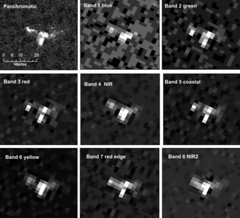 Os satélites detectan baleas dende o espazo