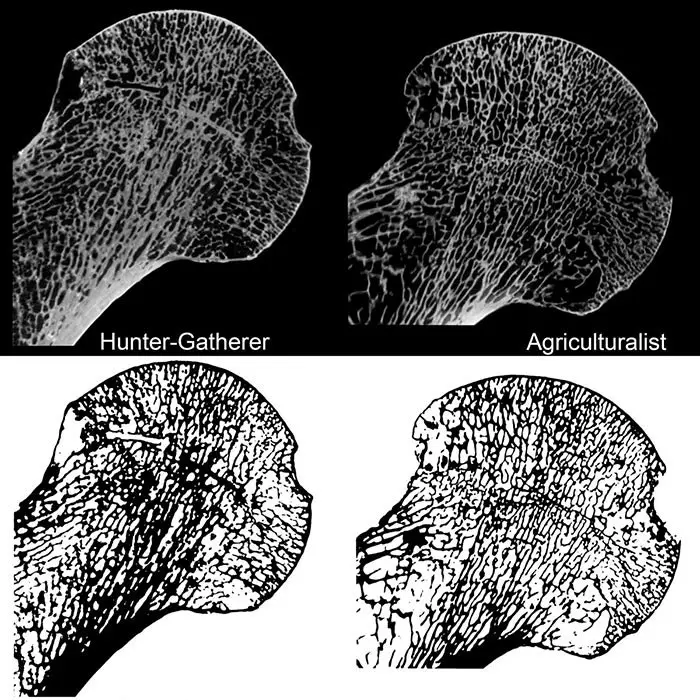 Přechod na Farming Made Human Joint Bones lehčí 51326_4