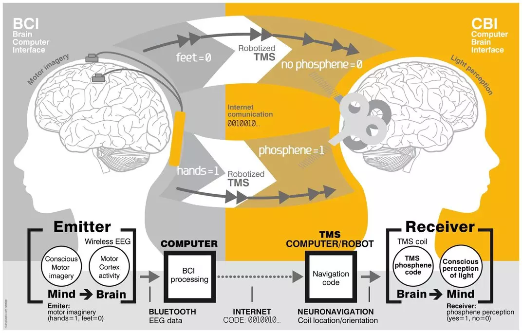 脑对脑交流如何运作