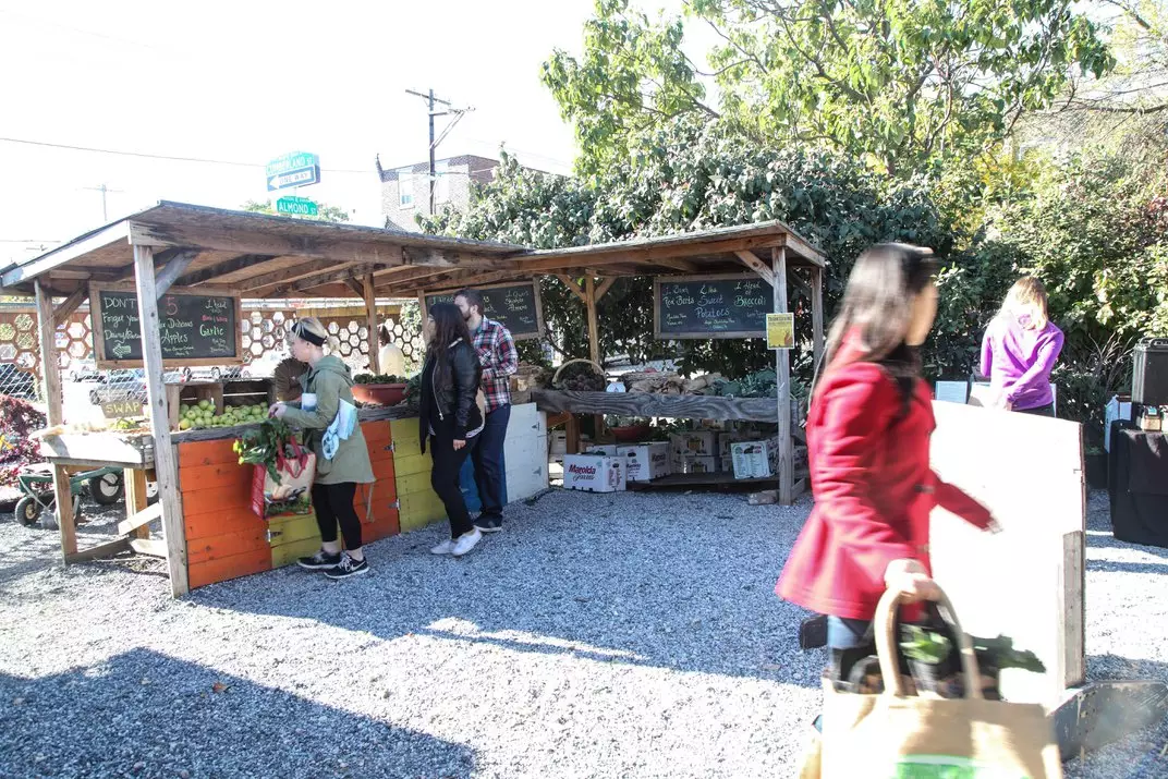 Els agricultors del centre de la ciutat poden tenir terra tòxica a les mans