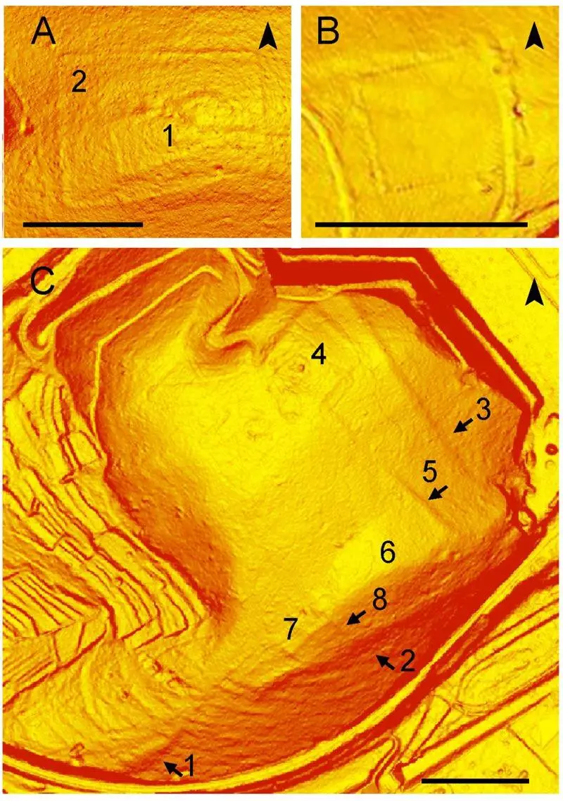 Romawi Fort LiDAR