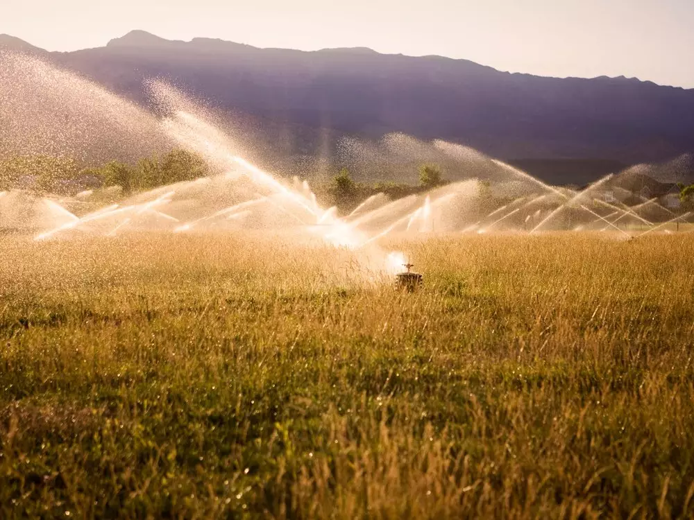 Kieu Kumaha U.S. Groundwater Ngarambat Dunya Ngaliwatan Pangan