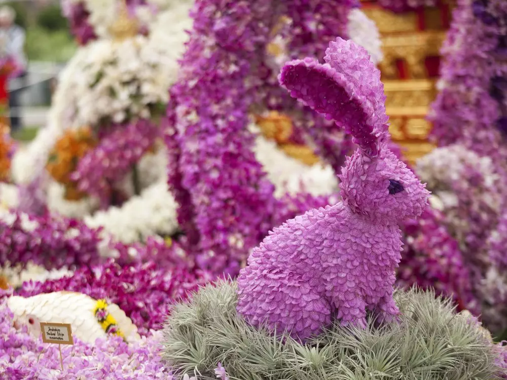 Foto's: Indrukwekkende blomme-uitstallings onthul by die VK se mees gesogte tuinskou