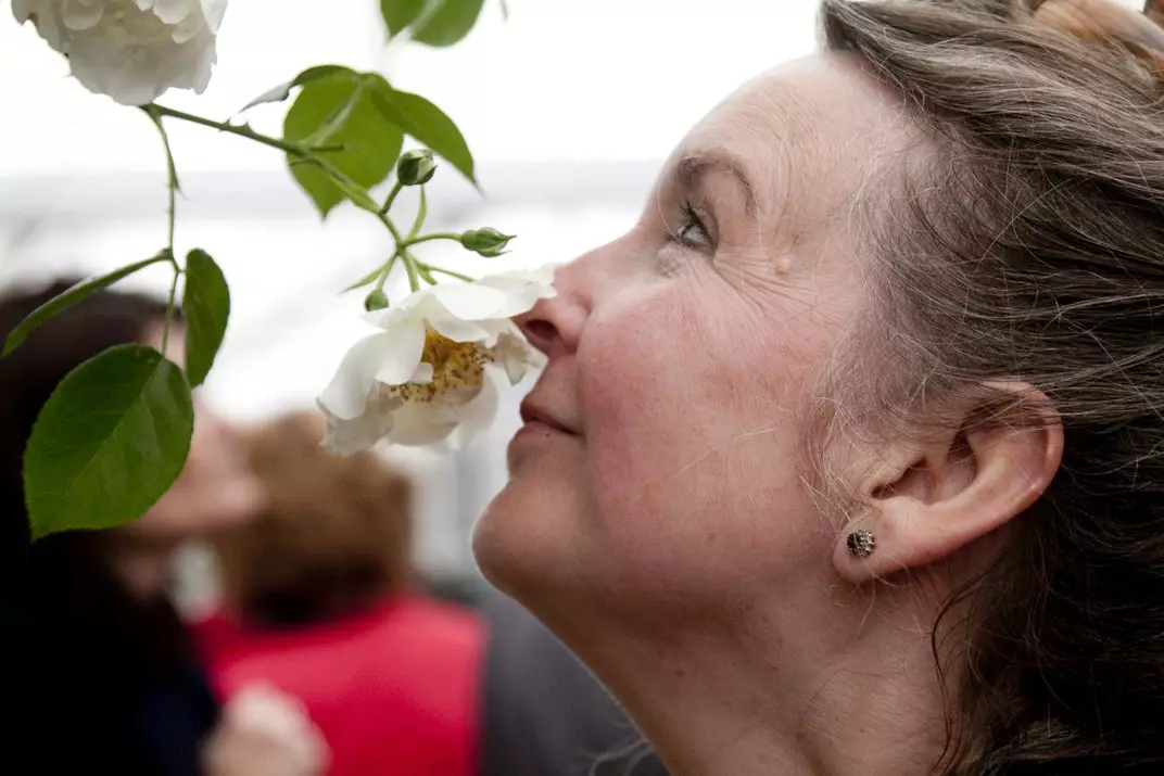 Fotos: Impresionantes exposicións florais presentadas na mostra de xardíns máis prestixiosa do Reino Unido 51651_18