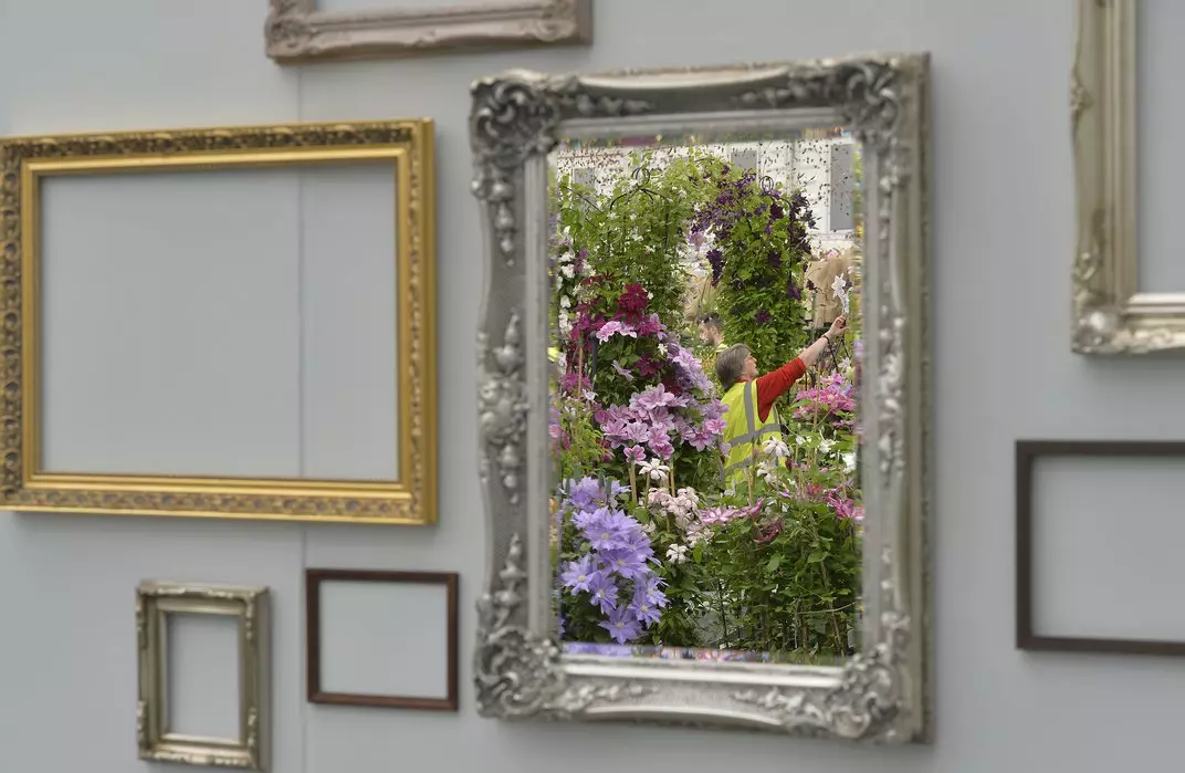 Cov duab: Impressive Floral Displays Unveiled at the UK's Most Prestigious Garden Show 51651_2