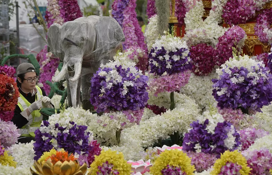 Fotos: Impresionantes exposicións florais presentadas na mostra de xardíns máis prestixiosa do Reino Unido 51651_4