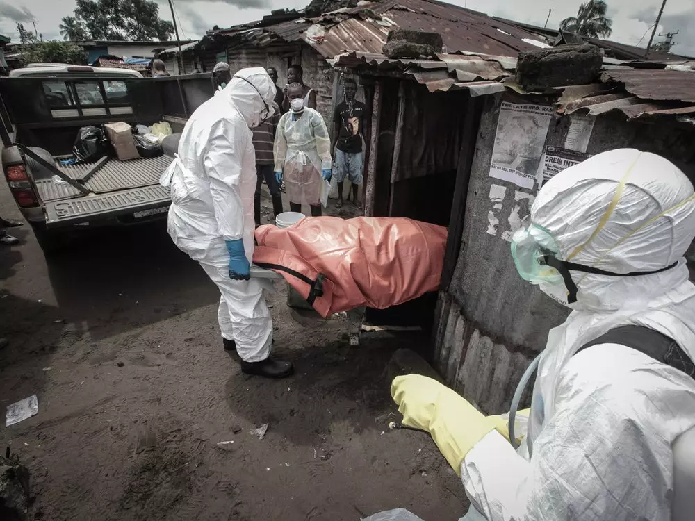 Anke Afrikani tal-Punent Li Ma Jaqbdux l-Ebola Qed Jiġu Iweġġgħu mill-Marda