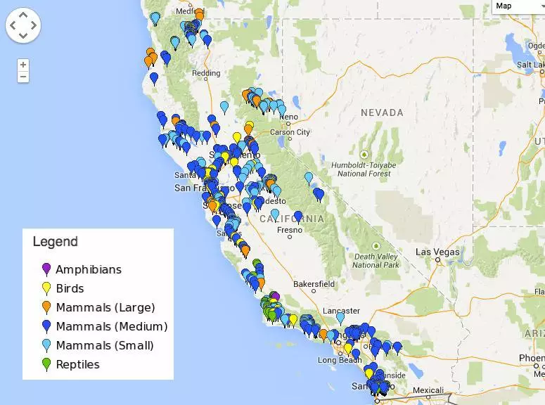 roadkill map