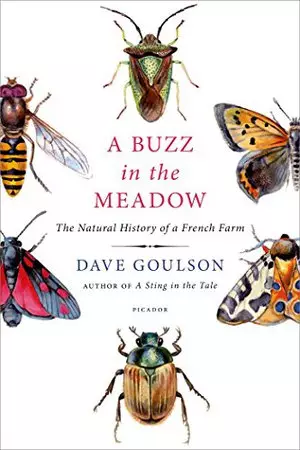 Ongorora pikicha yevhidhiyo 'A Buzz in the Meadow: The Natural History of a French Farm