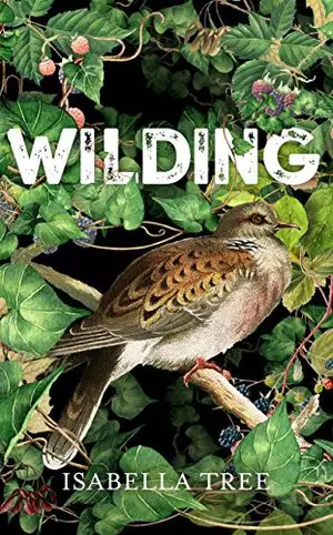 Miniatura podglądu filmu „Wilding: Powrót natury do brytyjskiej farmy”