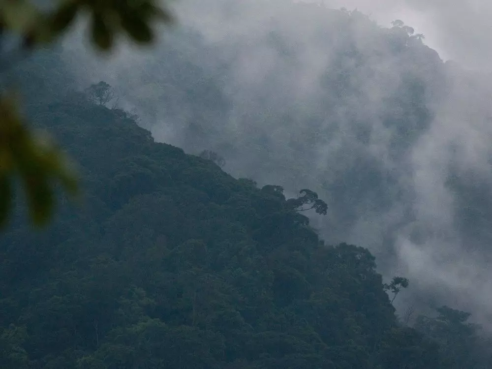 Ruruntuhan endah pisan Kota Long Lost kapanggih di Honduras