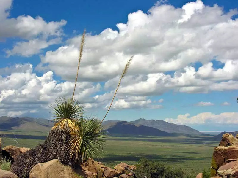 Utsikt över OrganMountains-Desert Peaks National Monument Fotokredit: Lisa-Mandelkern