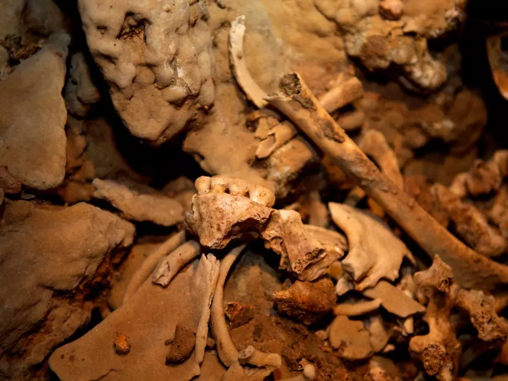Hur forntida tänder avslöjar mänsklighetens rötter