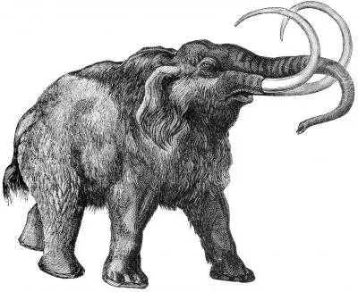 Kdy budou stáda mamutů?