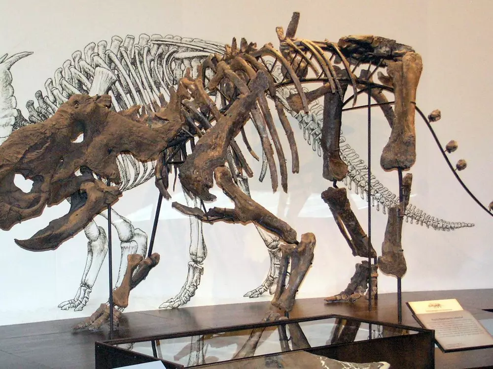 გაცივებული დინოზავრები ალასკას ტუნდრაში