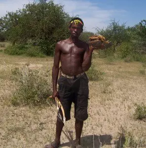 A Hadza honey hunter with his prize, honey still in the comb.