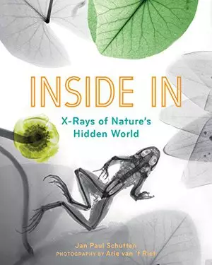 Mionsamhail réamhamhairc le haghaidh 'Inside In: X-Rays of Nature's Hidden World