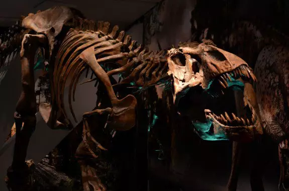 Динозаврның тәме нәрсәгә ошаган?