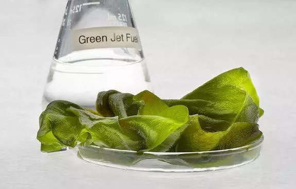biofuels na tushen algae