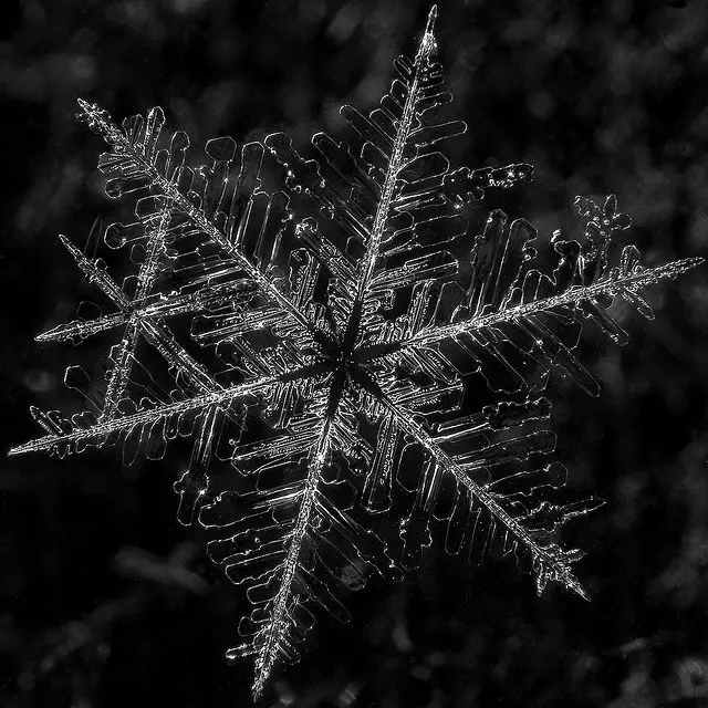 Snowflakes Inogona Kuve Yakasiyana Dhizaini, Asi Inogara Iine Mativi matanhatu