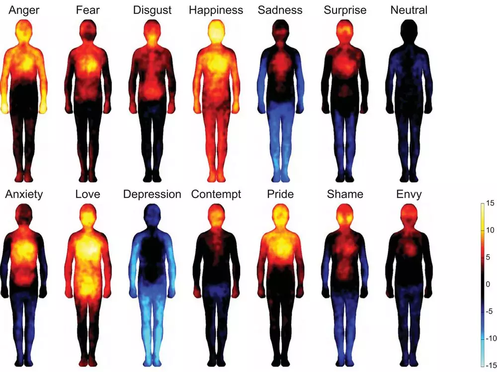 Các trạng thái cảm xúc khác nhau biểu hiện ở các vị trí khác nhau trong cơ thể con người