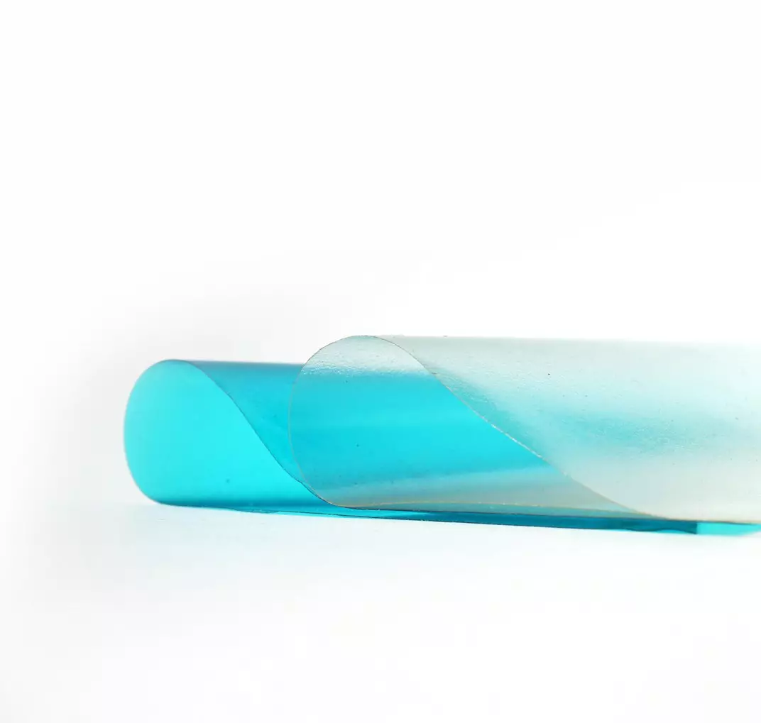 फिश स्केलपासून बनवलेल्या या बायोप्लास्टिकने नुकताच जेम्स डायसन पुरस्कार जिंकला