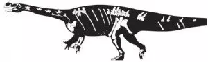 Predstavujeme Aardonyx, „zemský pazúr“