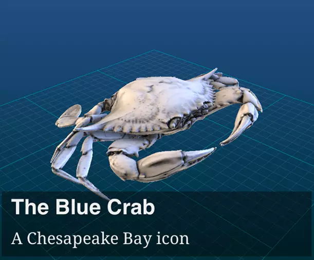 3D blå krabbe