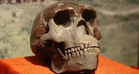 失踪的原始人化石之謎