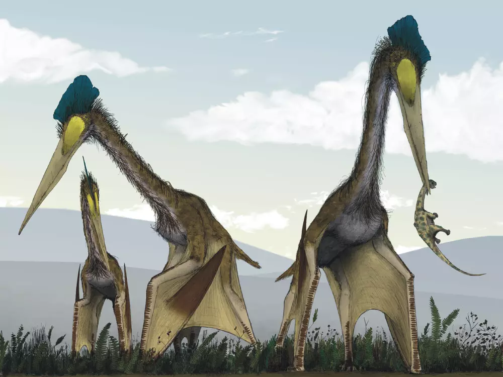 Miksi pterosaurus ei ole dinosaurus