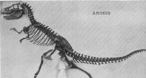 עידן הדינוזאורים של דיסני