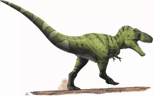 Tyrannosaurus جي ٽرڪ ۾ اضافي جنڪ هئي