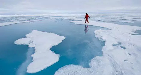 Ciência no gelo