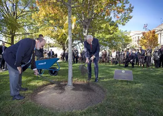 For veteranerne vokser et træ i amerikansk historie