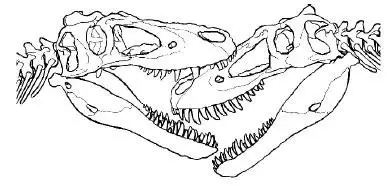 Rémaja Tyrannosaurus anu pikareueuseun silih gigit dina raray