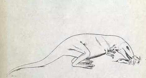 Lambės tinginys, gaudantis gorgosaurus