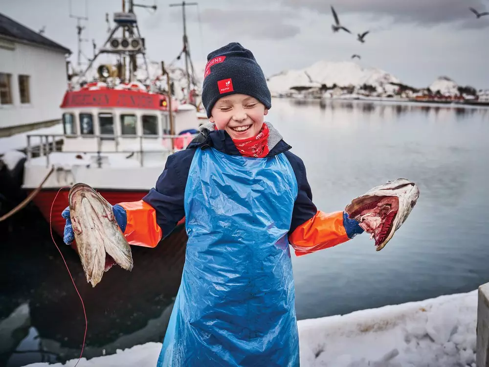 在挪威，孩子们切鳕鱼舌头来赚钱