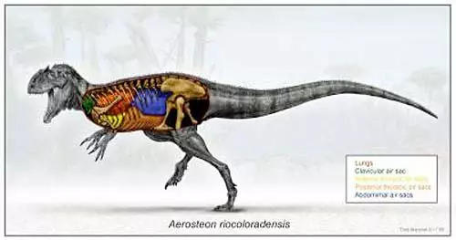Argentinski dinozaver je imel ptičja pljuča