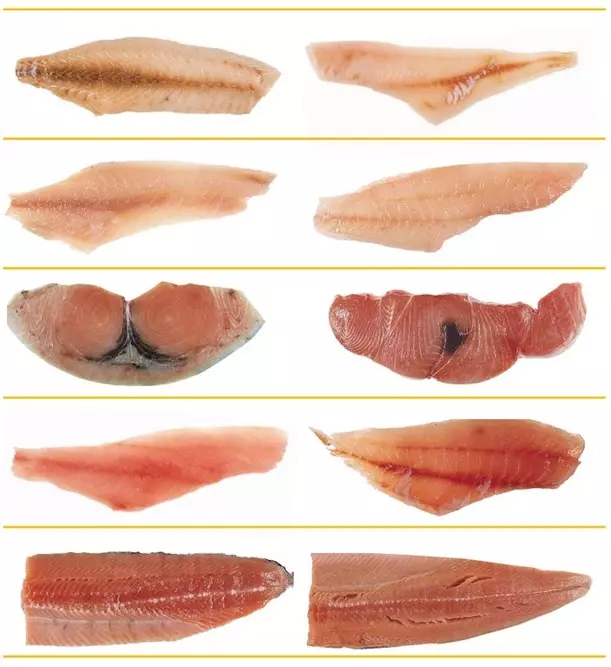 ڈی این اے کے جاسوس جو ظاہر کرتے ہیں کہ آپ واقعی کیا سمندری غذا کھا رہے ہیں۔ 6472_2