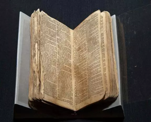 Rubensteinas Nato Turnerio bibliją vadina maišto simboliu