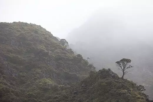 ירידה לתוך מכתש Haleakala של הוואי 6501_17