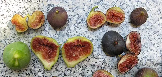 Georgiako Fruta Ehiza Handia